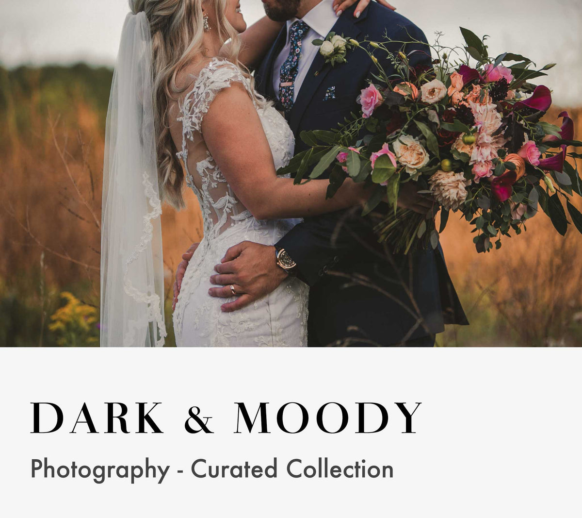 Dark & Moody - Photography Curated Collection